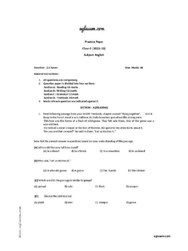 5th Class Entrance Exam Question Paper PDF | PDF