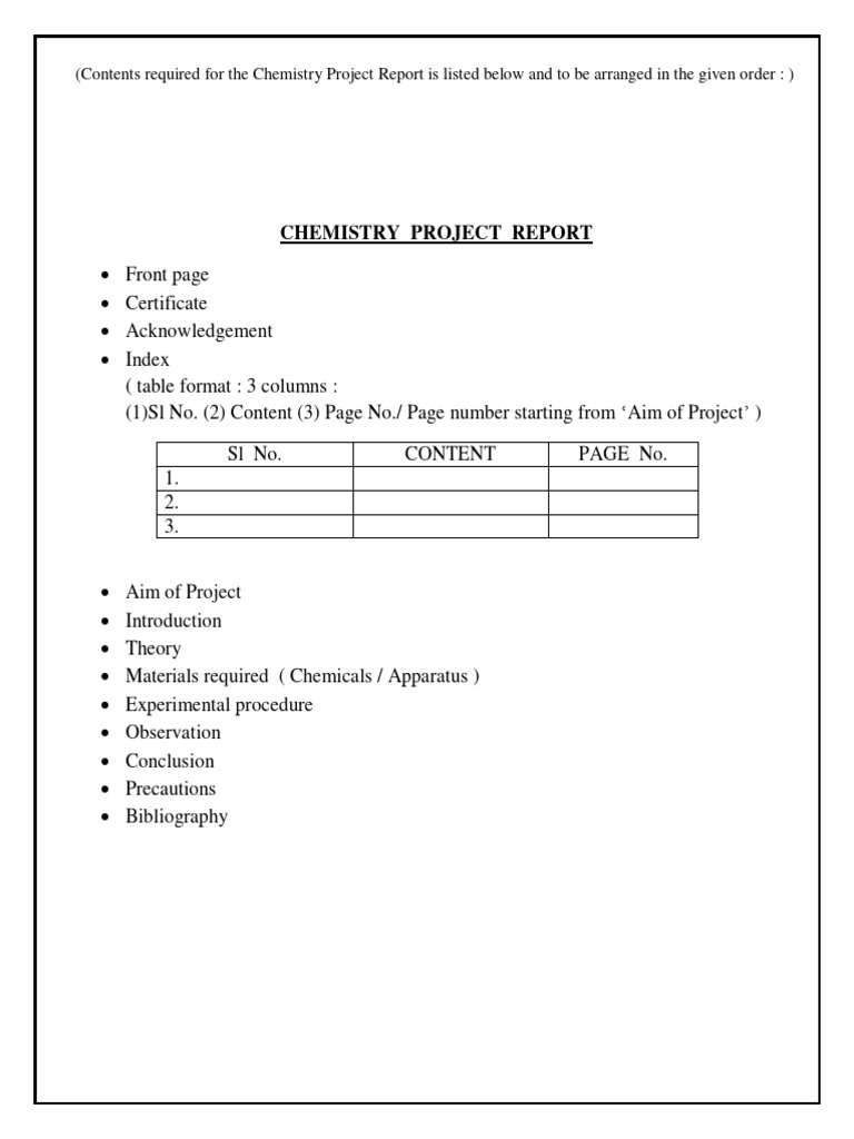 PROJECT REPORT Format 2023-24 | PDF