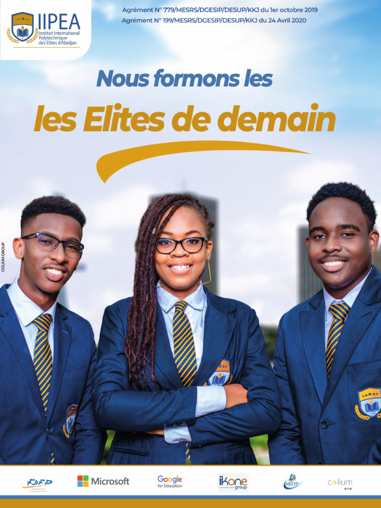 Flyers Iipea | PDF