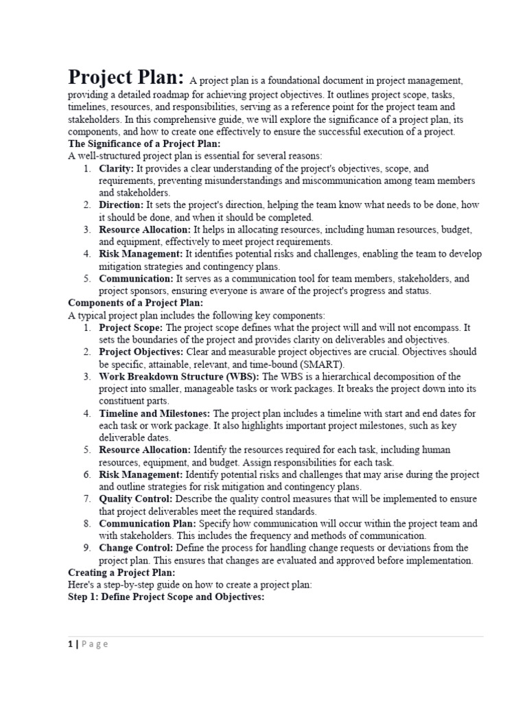 Project Plan | PDF | Project Management | Risk Management