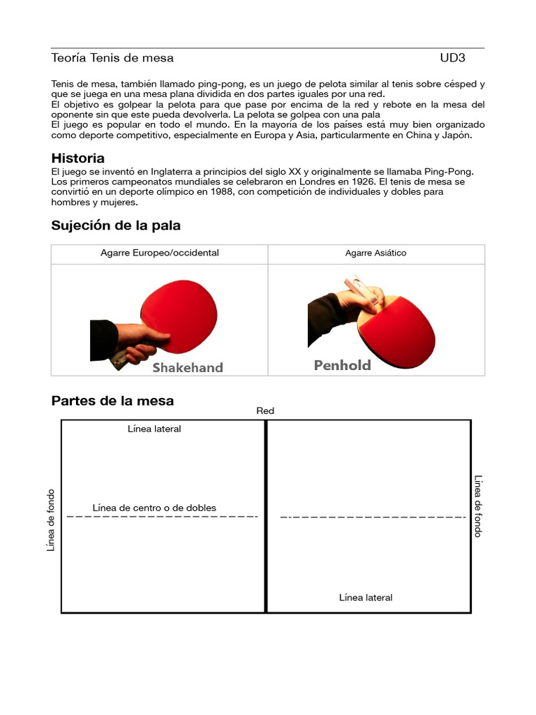 Teoría y Reglas Del Ping Pong | PDF | Tenis de mesa | Juego de azar