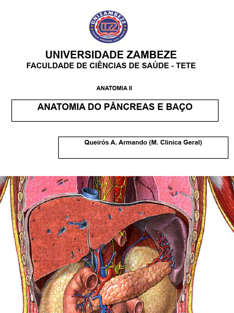 Anatomia Do Pancreas e B | PDF | Pâncreas | Baço