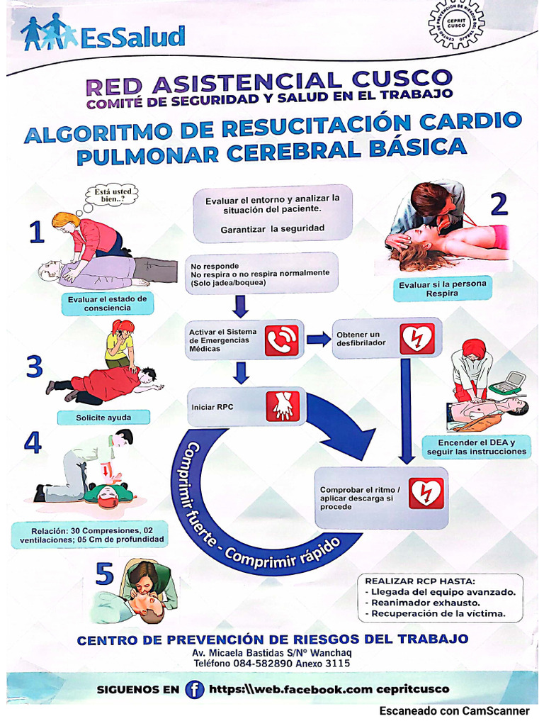 Algorismo Cardiaco | PDF