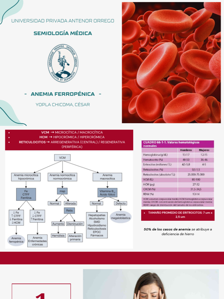 Diagnóstico y Tratamiento de Anemia Ferropénica | PDF | Anemia | Tejido ...