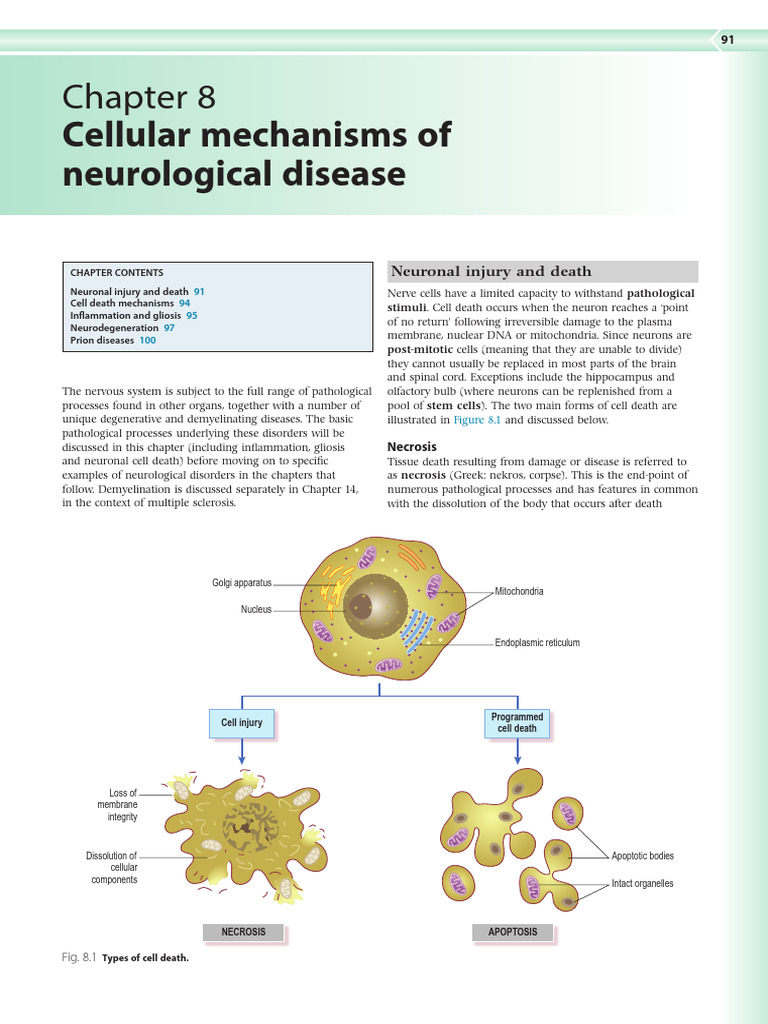 Chapter 8 Cellular Mechanisms of Neurological Dis 2014 Clinical ...