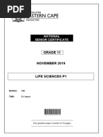 LFSC GR.11 Baseline Test Term 1 2025 | PDF | Cell (Biology) | Eukaryotes