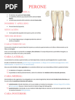Tibia y Perone | PDF | Sistema esquelético | Anatomía humana