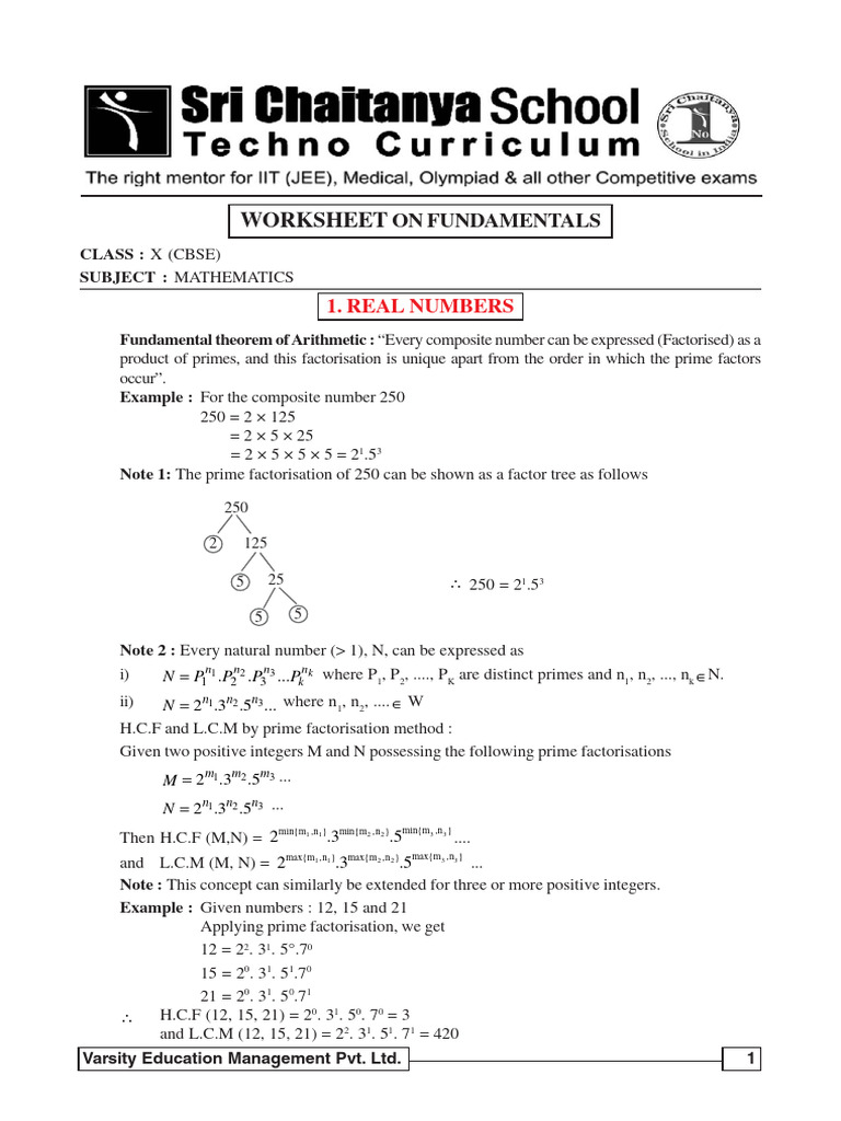X Class Cbse Maths Worksheet On Fundamentals | PDF | Polynomial | Numbers