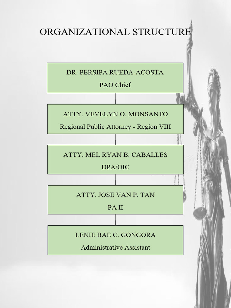 PAO Lawyers Organizational Chart | PDF