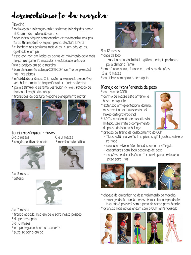 Fases do Desenvolvimento da Marcha Infantil | PDF | Movimentos anatômicos