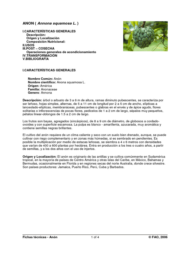 Ficha Técnica del Anón (Annona squamosa) | PDF | Agua | Plantas