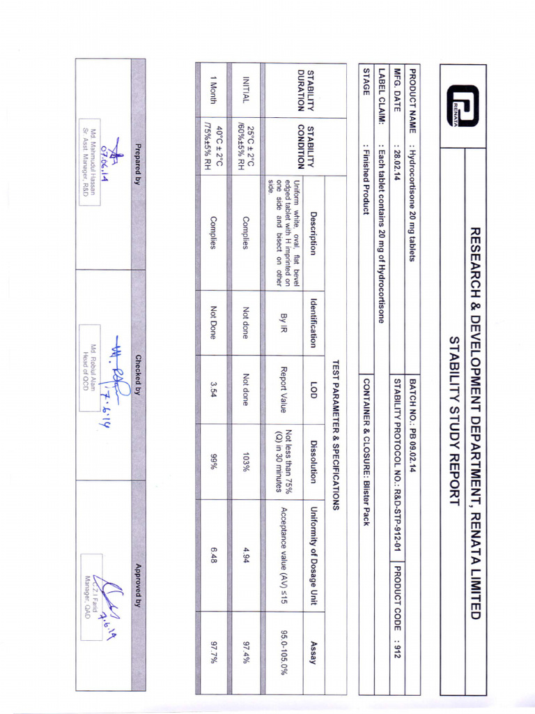 Stability Study Report | PDF
