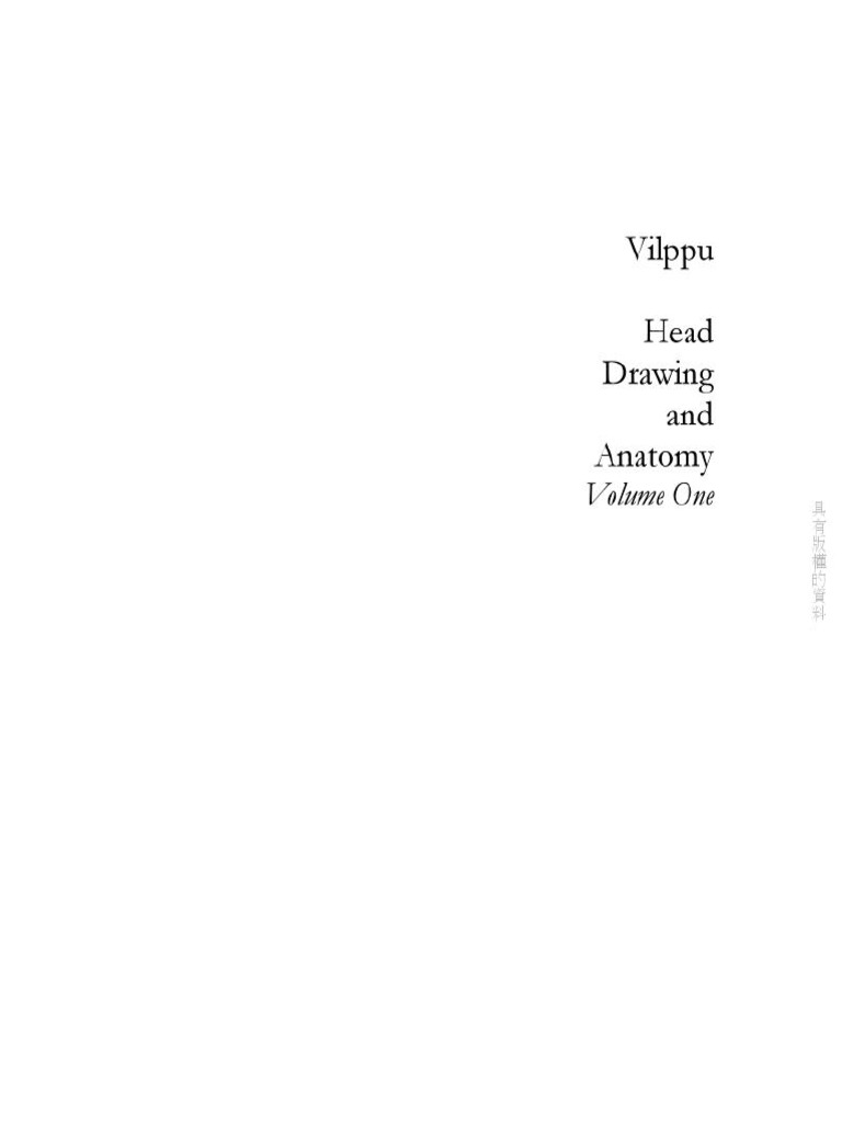Vilppu Drawing Head | PDF