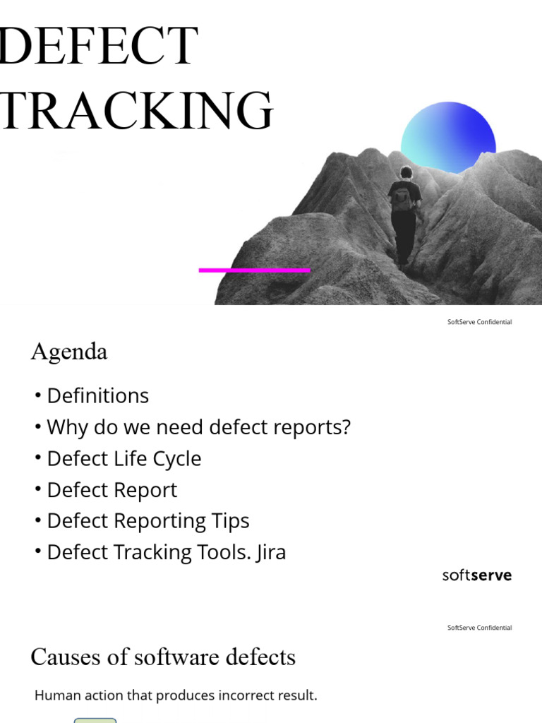Defect Tracking - 2023 | PDF | Software Bug | Software Testing