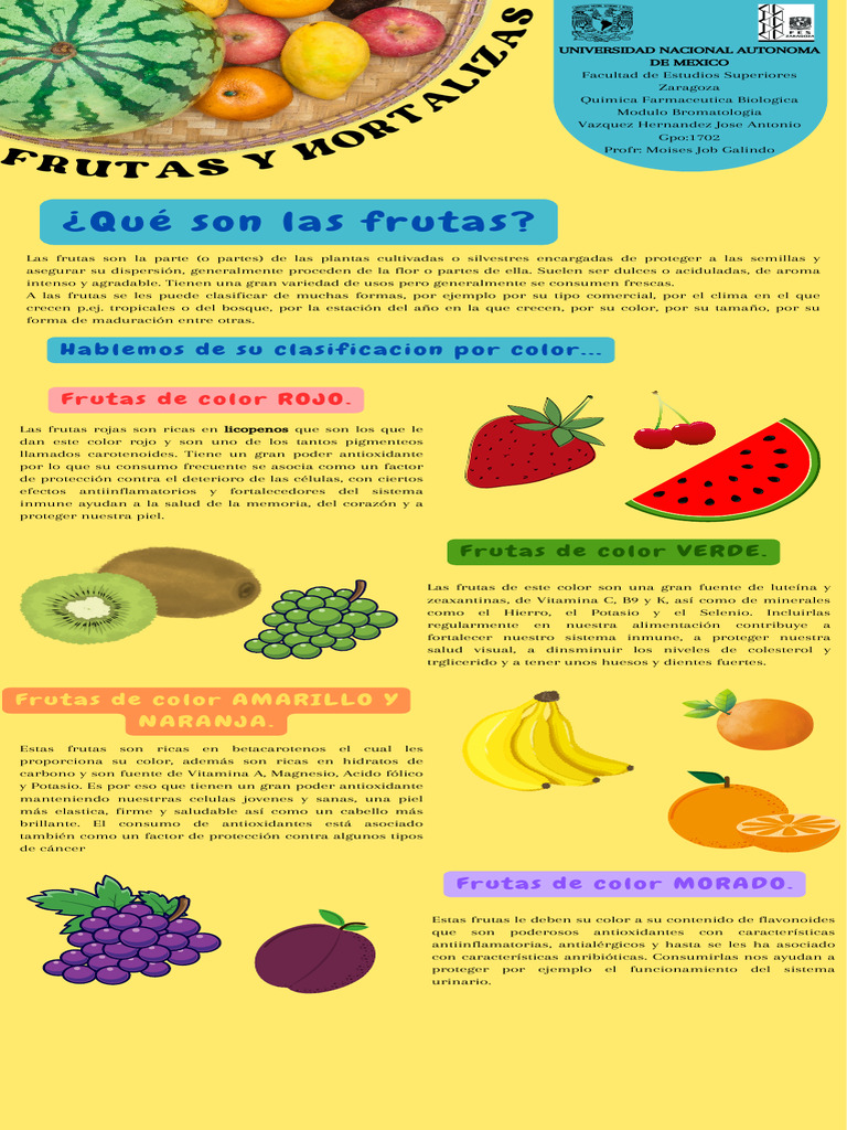 Clasificación de Frutas y Hortalizas | PDF | Vegetales | Antioxidante