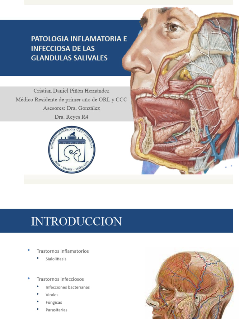 Patologia Inflamatoria e Infecciosa de Glandulas Salivales | PDF ...
