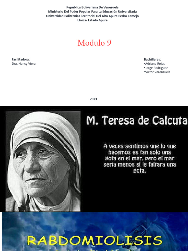 Anatomía Modulo 9 Pdf Músculo Esquelético Inflamación