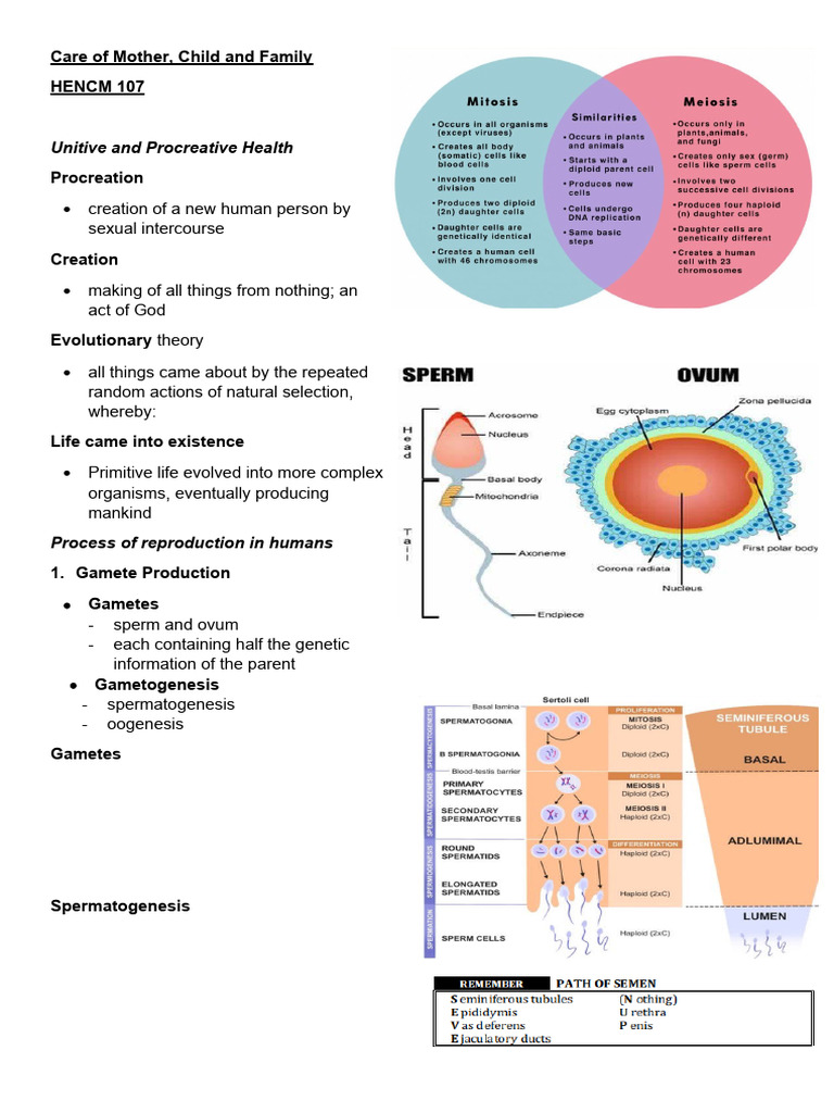 MCN Lesson 1 | PDF | Orgasm | Uterus