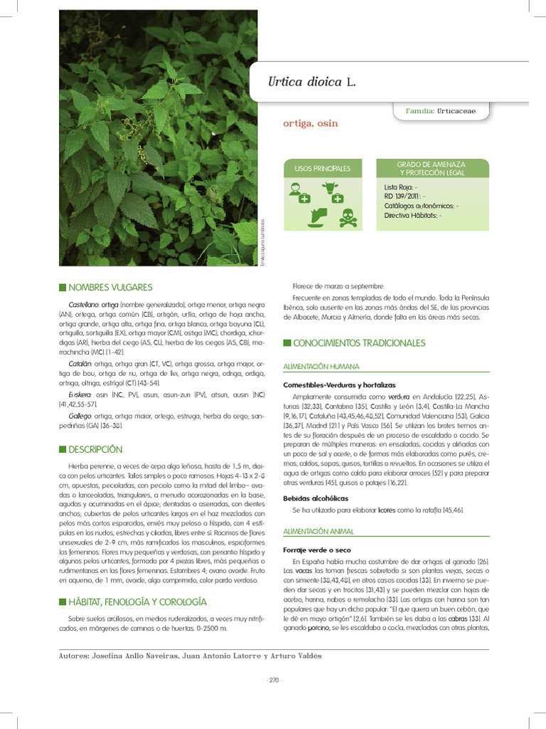 Iect Urtica Dioica tcm30-164128 | PDF
