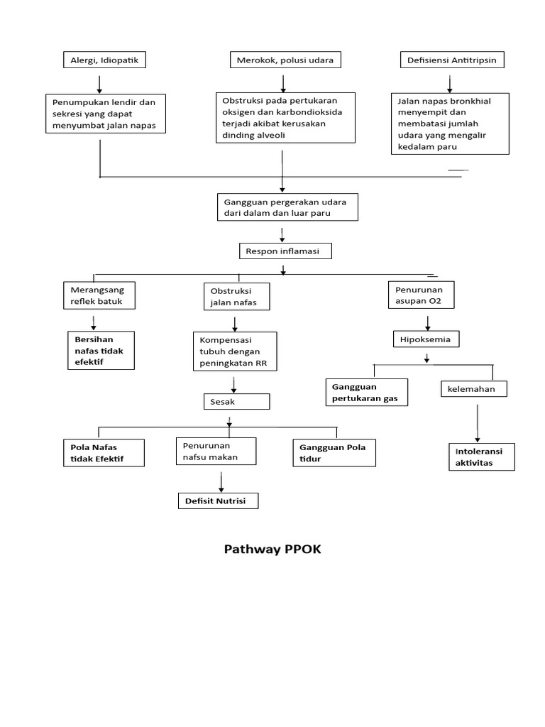 Pathway Ppok | PDF