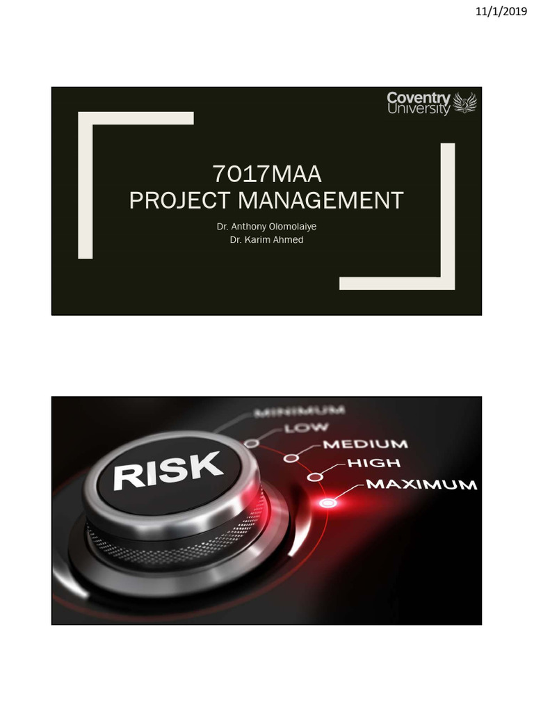 Project Risk Management Overview | PDF | Risk | Risk Management