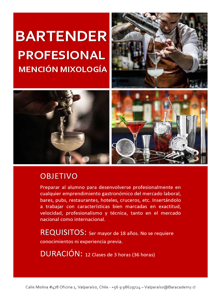 Programa Bartender Profesional 2023 | PDF | brandy | champán