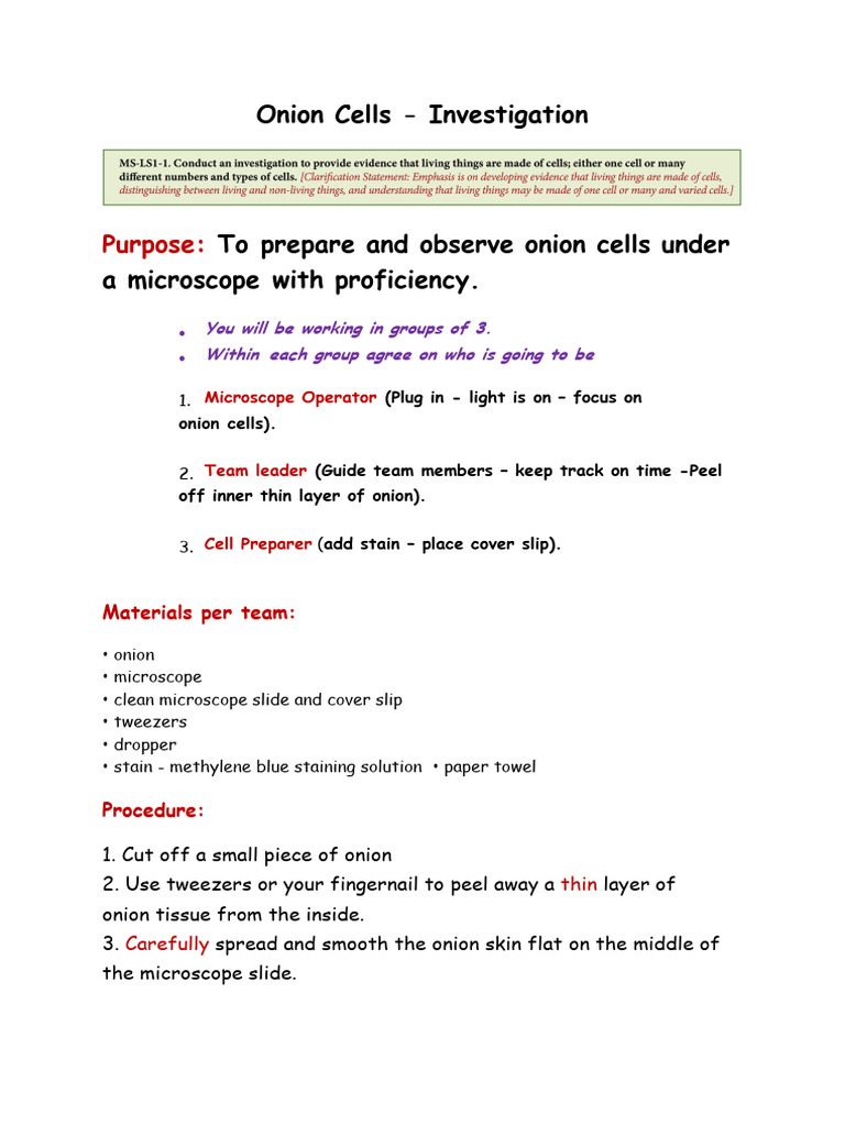 Onion Cell Observation Lab Guide | PDF | Science & Mathematics