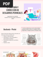 Episiotomía y Episiorrafia | PDF | Parto | Especialidades Medicas