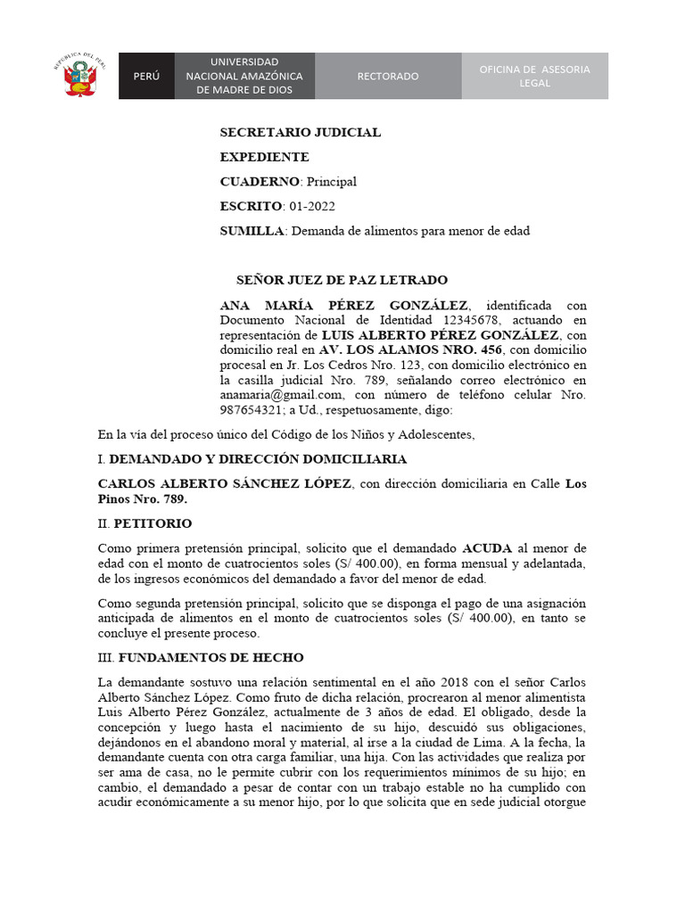 Modelo de Demanda | Descargar gratis PDF | Demanda judicial | Gobierno