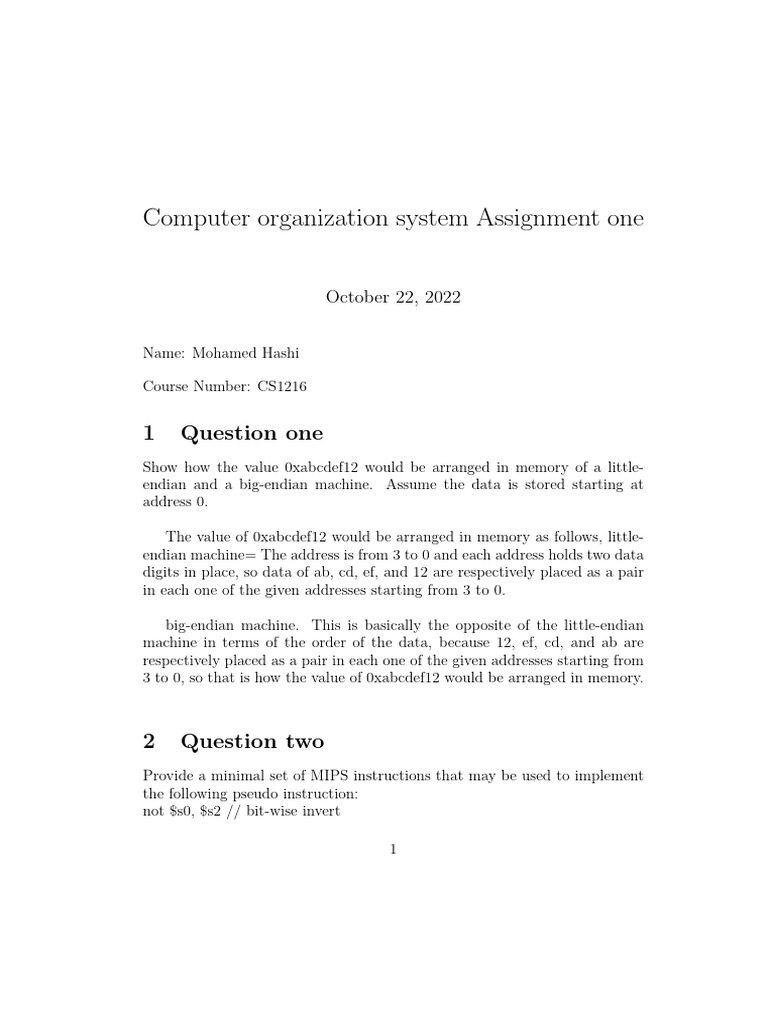 CS1216 HW4 Mohamed Hashi PDF | PDF | Computer Architecture | Computing