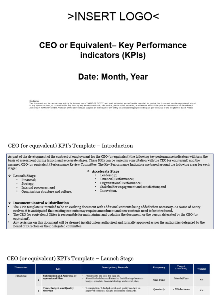 CEO KPI Template Guide | PDF