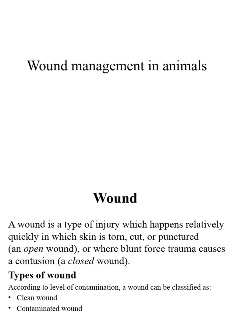 Animal Wound Management Guide | PDF | Law | Wellness