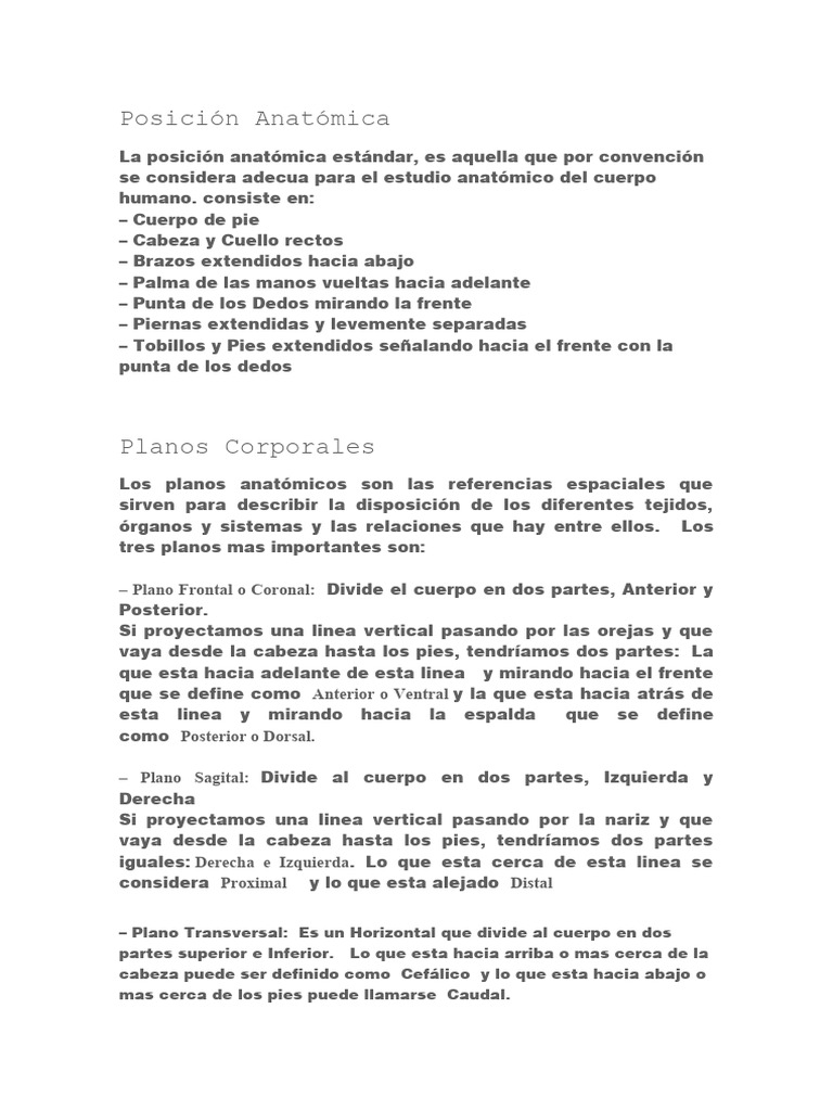 Posición Anatómica | Descargar gratis PDF | Términos anatómicos de ...