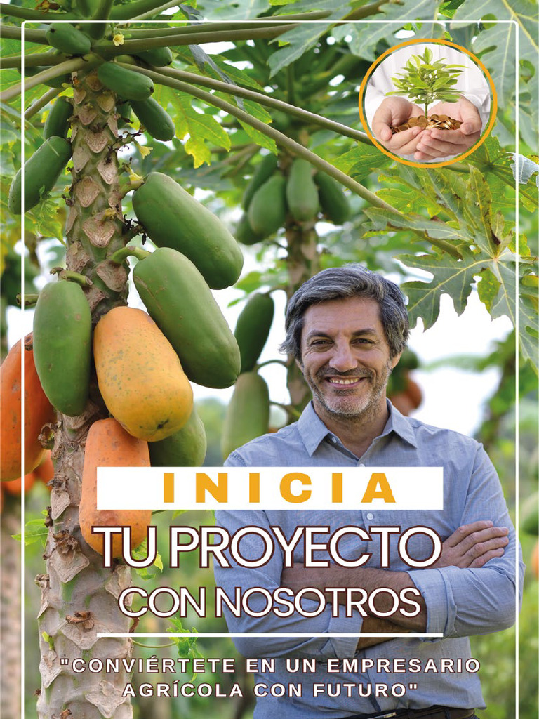 Proyecto Papaya Sinta F1 v2 (2) | PDF | Agricultura | Siembra