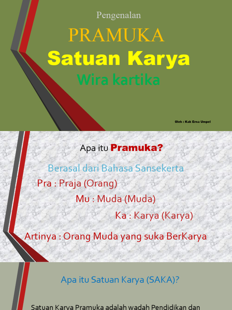 Pengenalan SAKA - Materi Erna | PDF