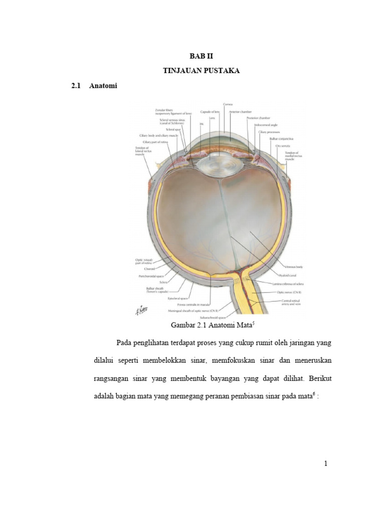 Anatomi, Definisi, Etiologi, Komplikasi Miopia | PDF