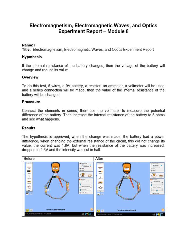 Electricity - Fern Report | PDF