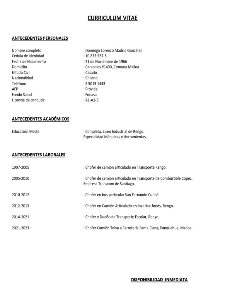 Curriculum Lorenzo | PDF