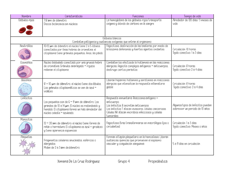 Tabla Celulas Sanguineas | PDF