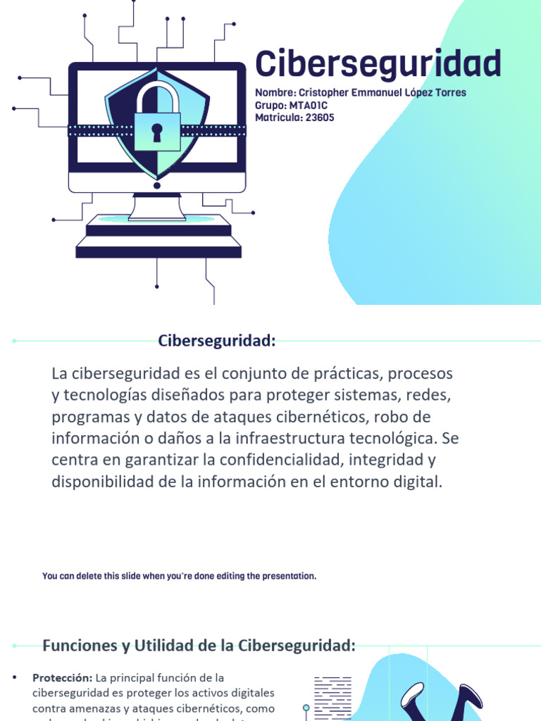 Ciberseguridad | PDF