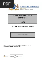 NSC Maths Grade 12 November 2023 P1 Only | PDF