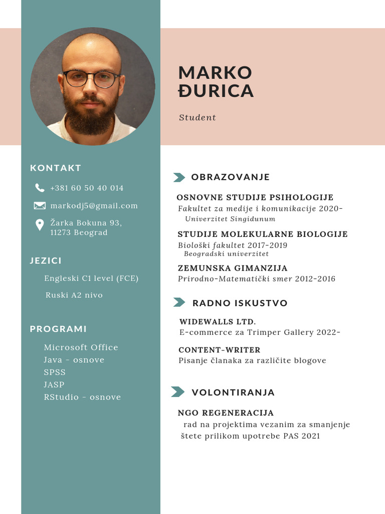 Marko Đurica-CV | PDF