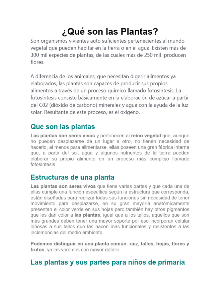 Qué Son Las Plantas | PDF | Tallo de la planta | Plantas