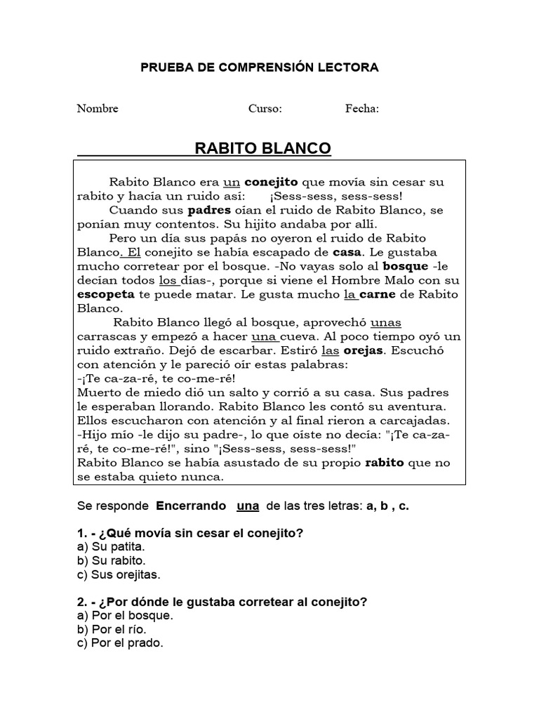 .Prueba Comprension de Lectura Rabito Blanco | PDF