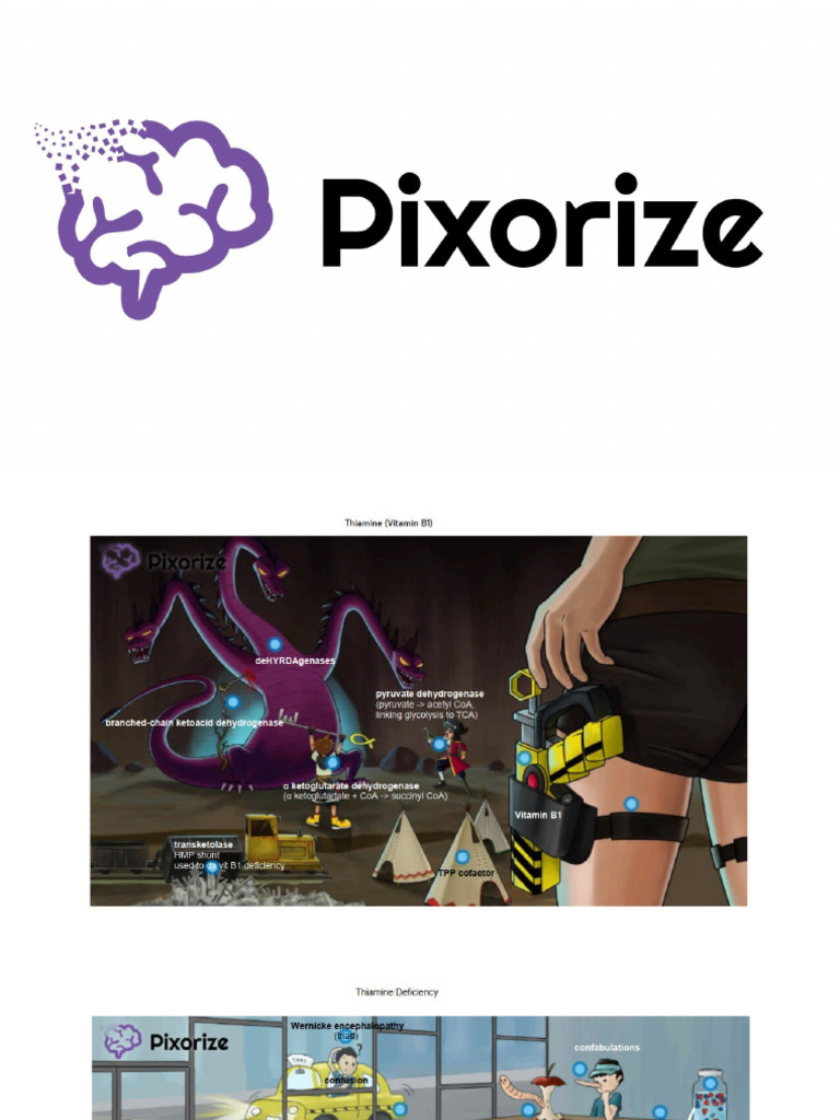 Pixorize Biochem | PDF