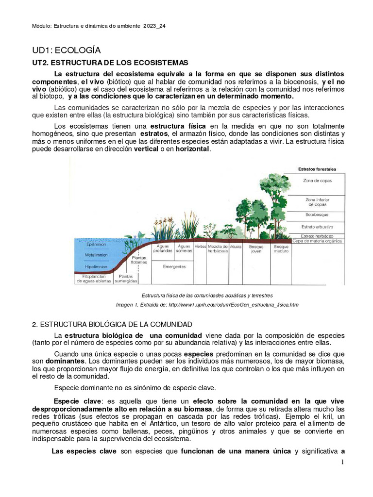 UT2 - Estructura de Los Ecosistemas | PDF | Ecosistema | Suelo