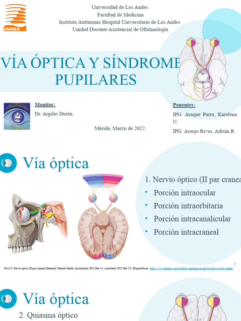 Via Optica | PDF | Anatomía humana | Ligero