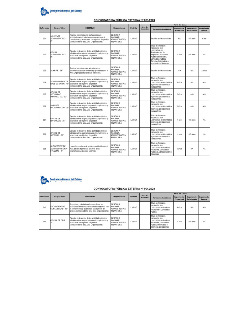 Perfil Cpe 001 2023 1 | PDF | Auditoría | Teneduría de libros