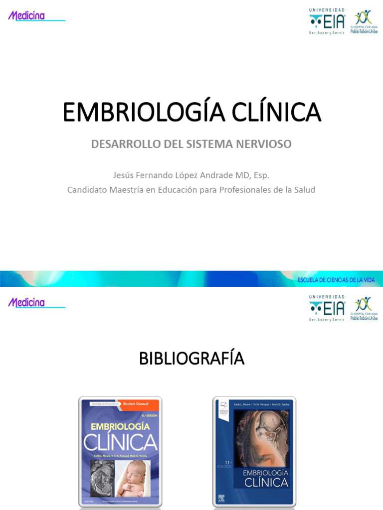 Embriología Clínica SNC | PDF | Cerebelo | Sistema nervioso