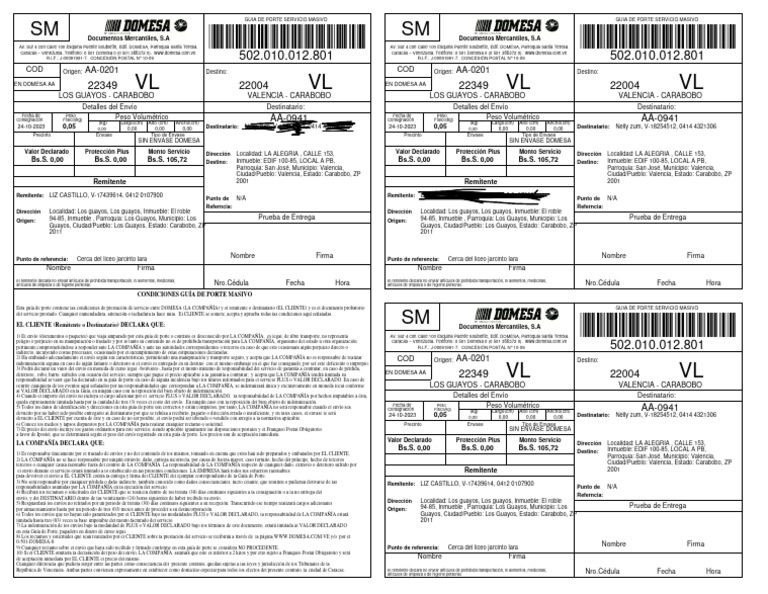 Guia Domesa Ejemplo | PDF | Daños y perjuicios